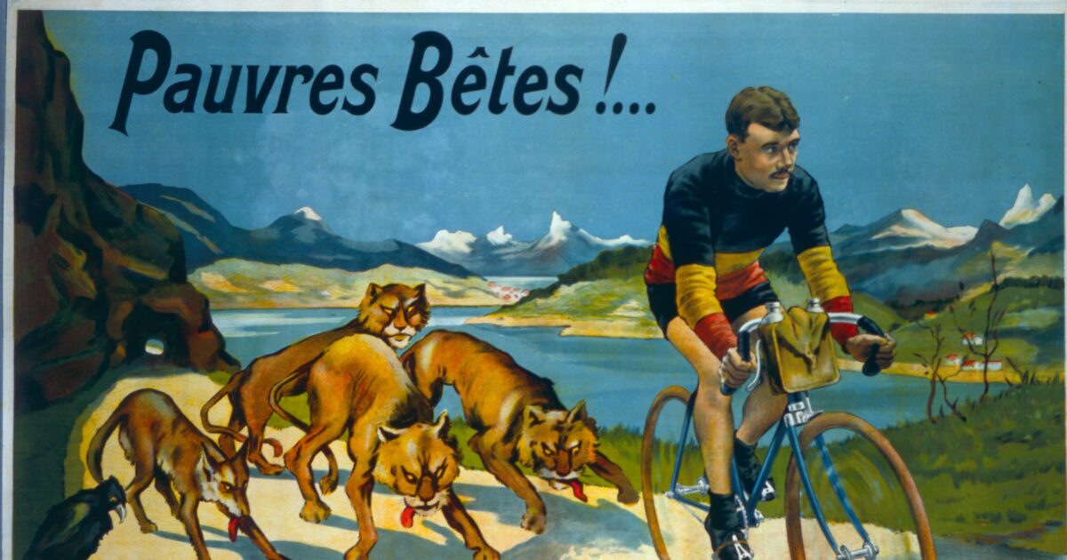 Odiel Defraeye affichomanie | Koersmuseum Roeselare